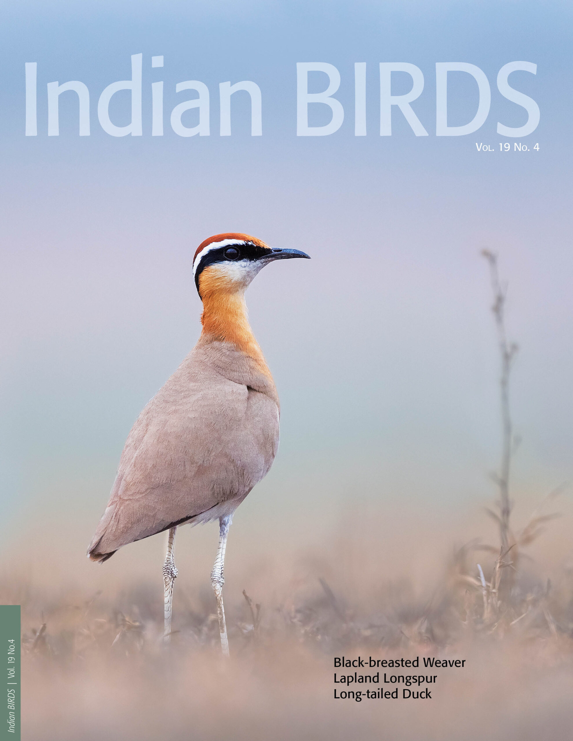 Indian Birds | New Ornis Foundation: A Non-profit Trust